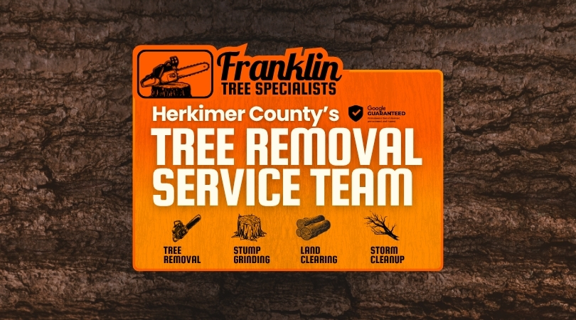 Home - Franklin Tree Specialists